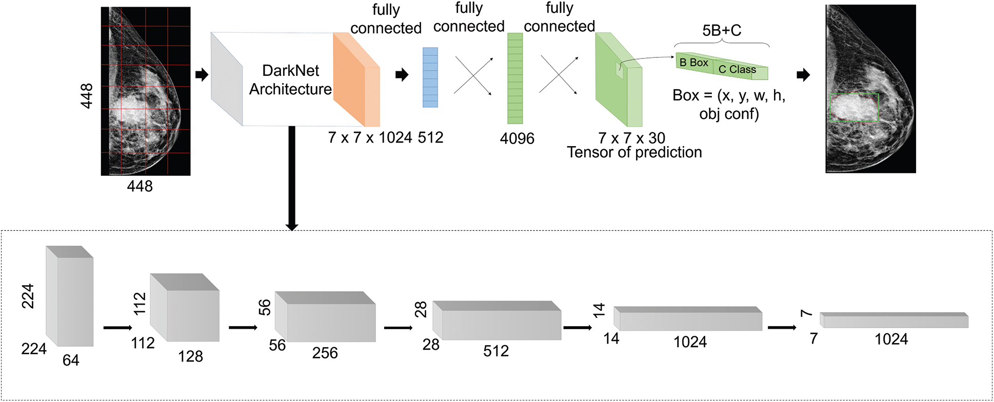 Breast Lesions Detection and Classification via YOLO-Based Fusion Models