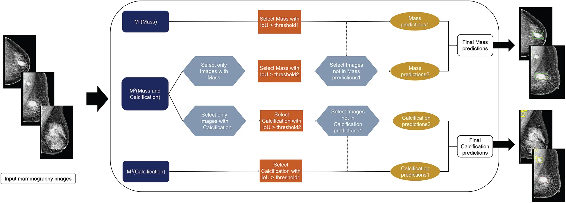Breast Lesions Detection and Classification via YOLO-Based Fusion Models