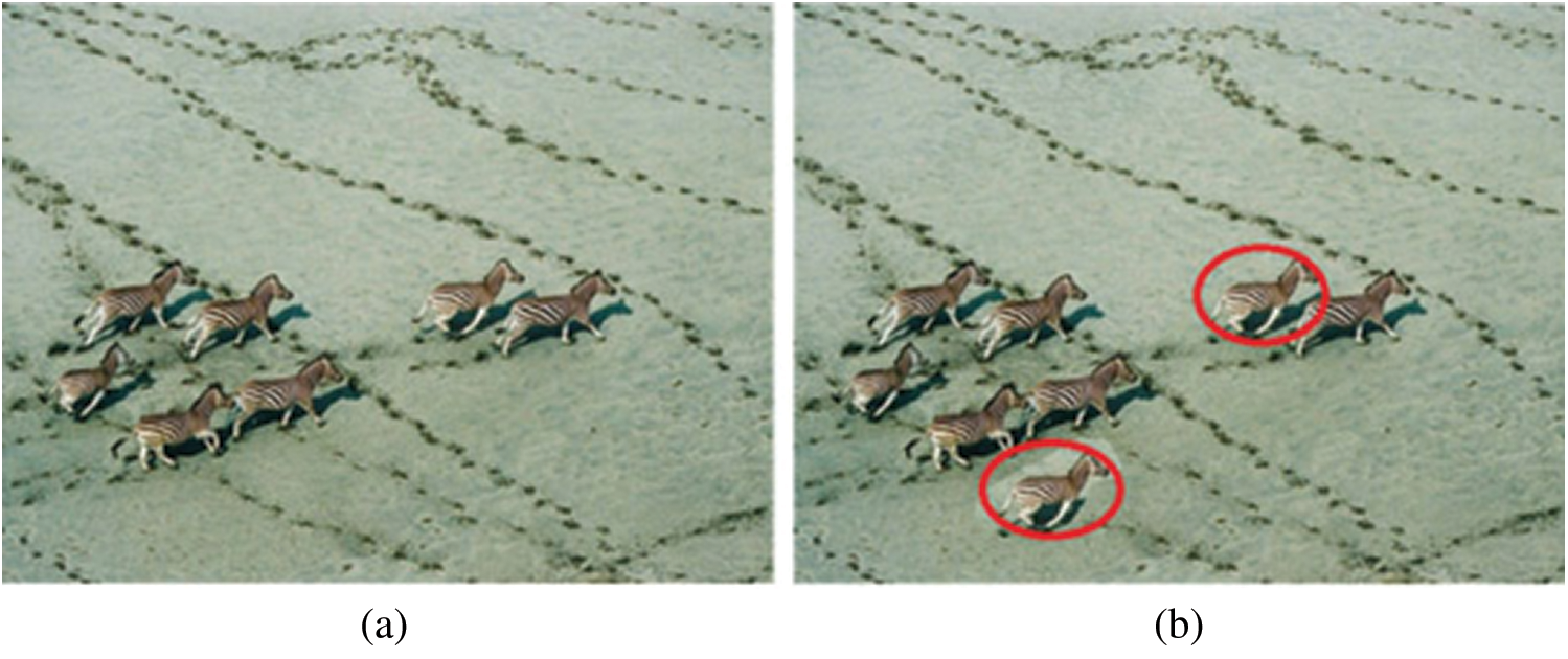 Image Authenticity Detection Using DWT and Circular Block-Based LTrP Features