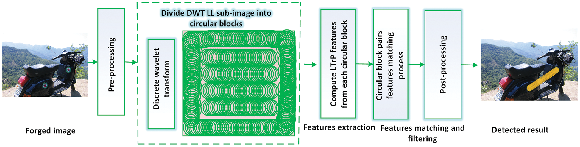 Image Authenticity Detection Using DWT and Circular Block-Based LTrP Features