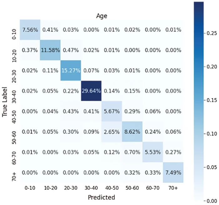 Age Group Classification