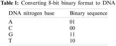 Amino Acid Encryption Method Using Genetic Algorithm for Key Generation
