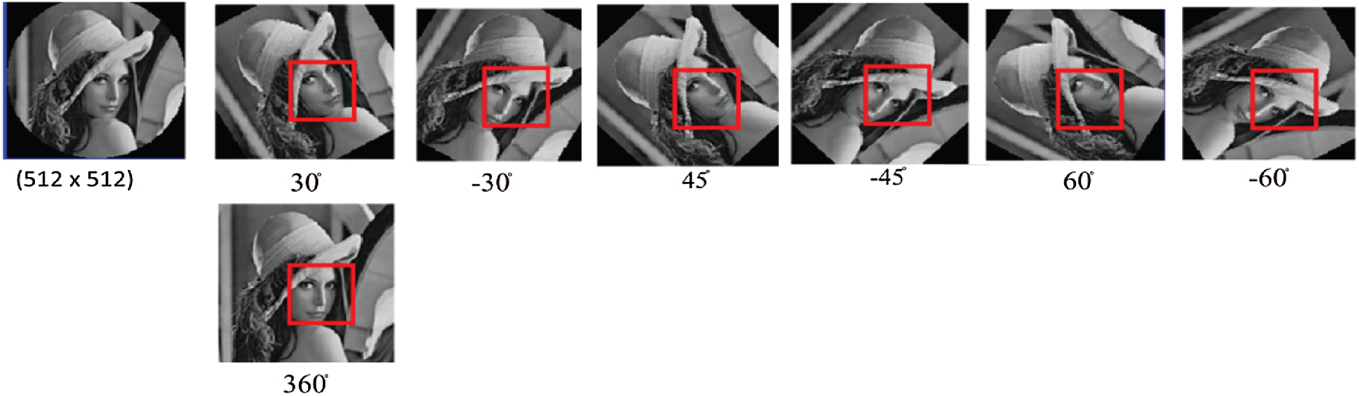 Secure Rotation Invariant Face Detection System For Authentication