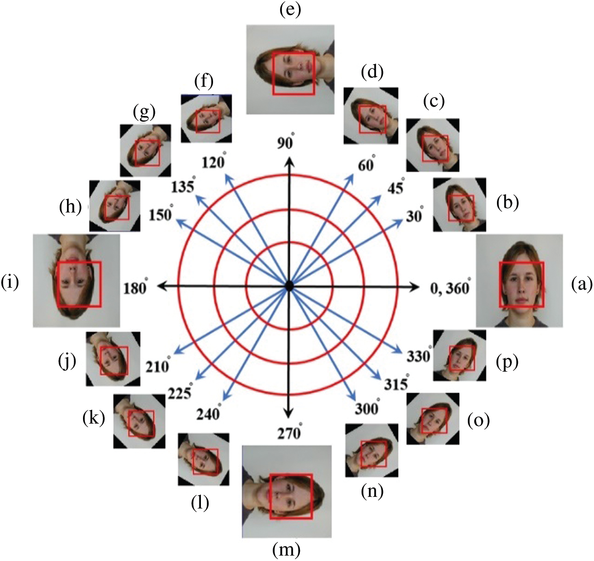 Secure Rotation Invariant Face Detection System For Authentication