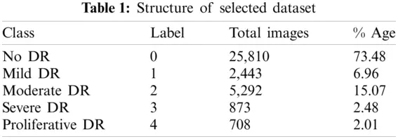 A Multilevel Deep Feature Selection Framework for Diabetic Retinopathy Image Classification