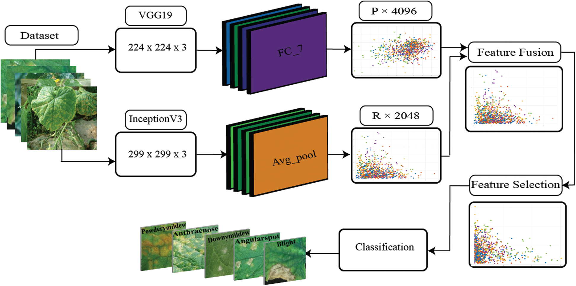 Multiclass Cucumber Leaf Diseases Recognition Using Best Feature Selection