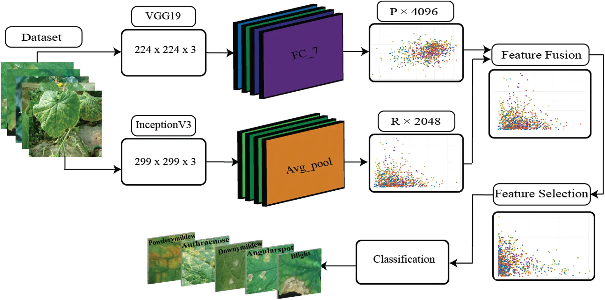 Multiclass Cucumber Leaf Diseases Recognition Using Best Feature Selection