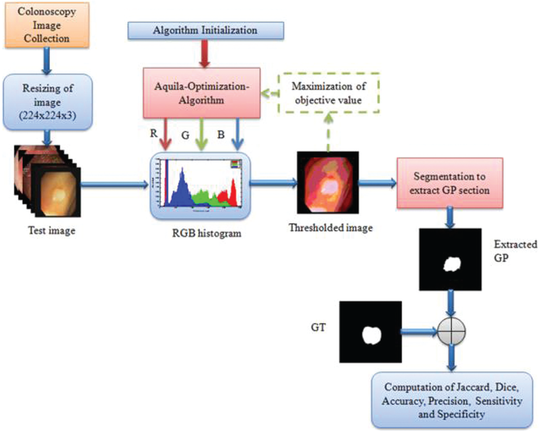 Semi/Fully-Automated Segmentation of Gastric-Polyp Using Aquila-Optimization-Algorithm Enhanced ...