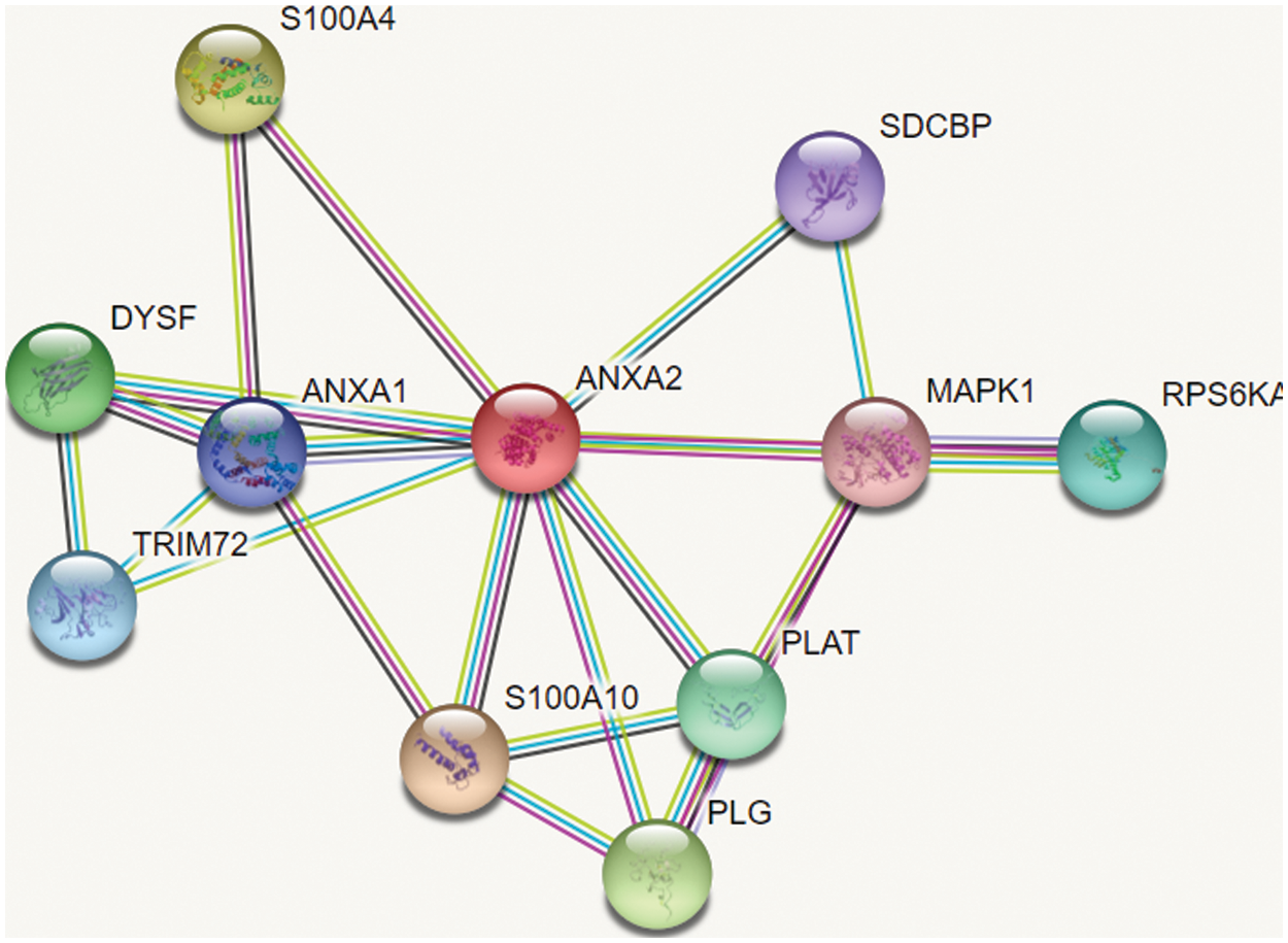 An Intelligent Prediction Model for Target Protein Identification in ...