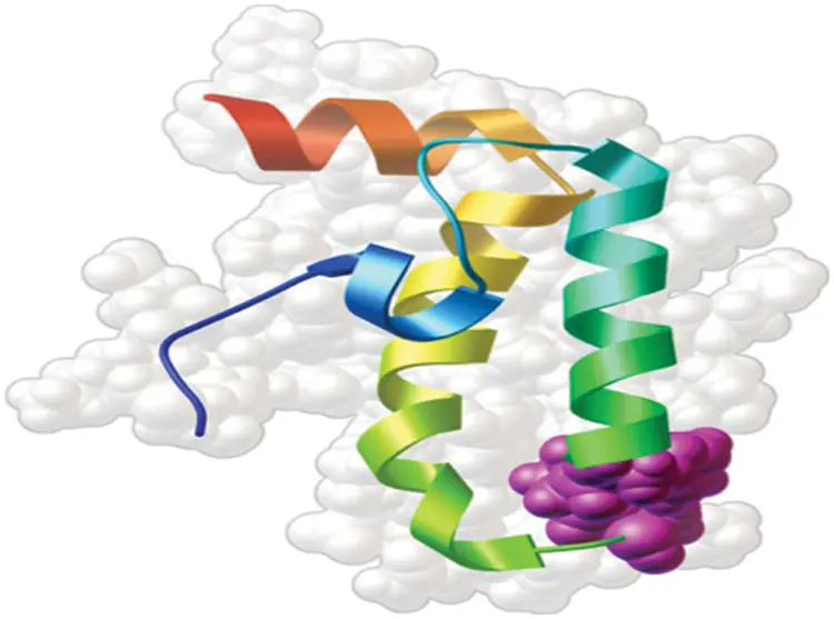 An Intelligent Prediction Model for Target Protein Identification in ...