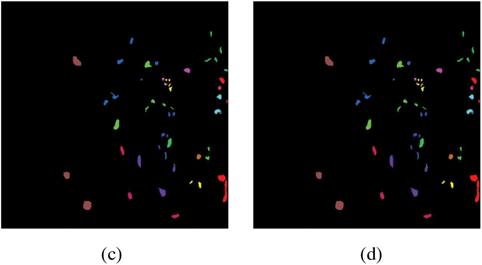 Advances in Hyperspectral Image Classification Based on Convolutional ...