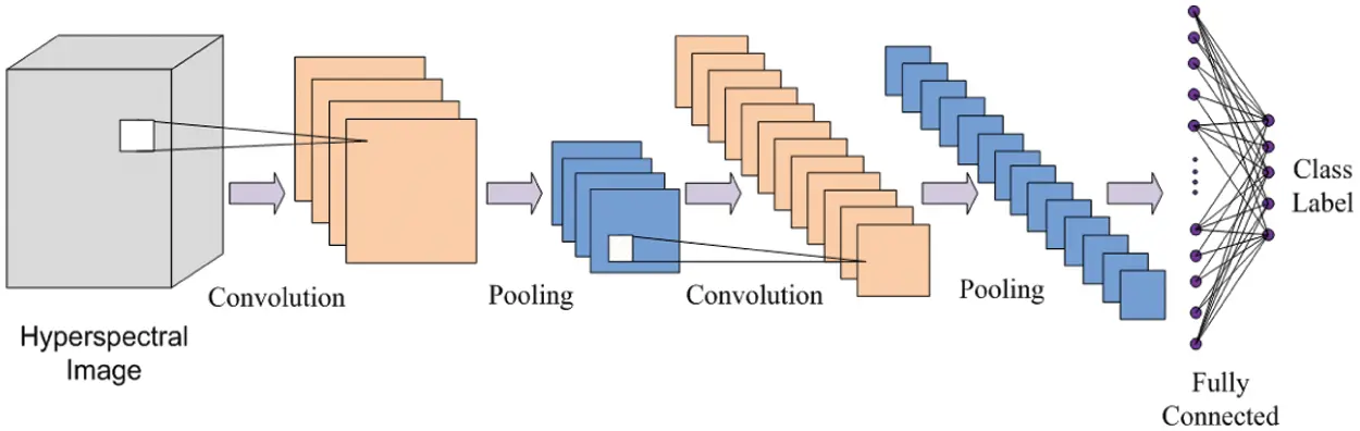 Advances in Hyperspectral Image Classification Based on Convolutional ...