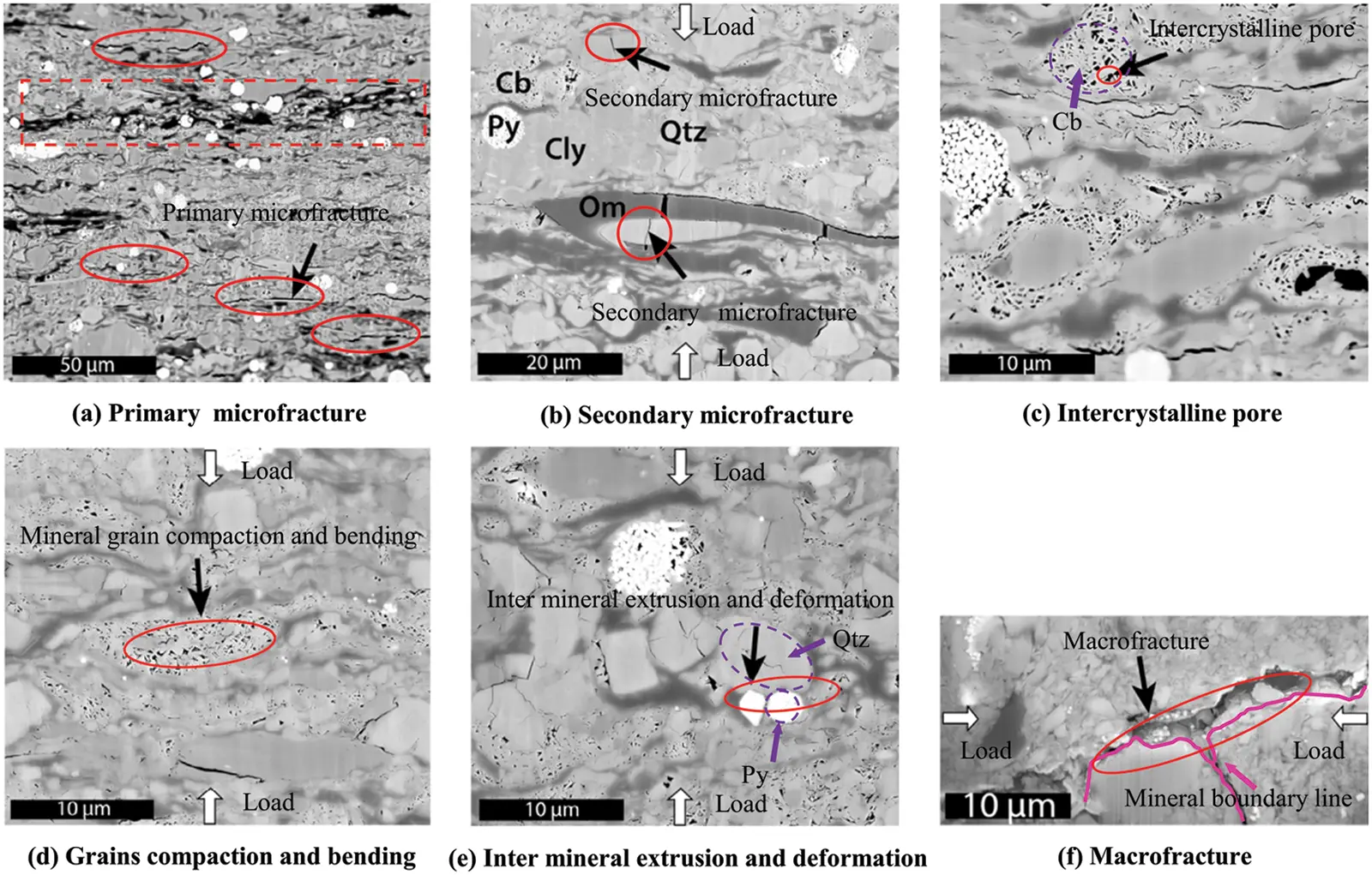 A Comparison of Shale Gas Fracturing Based on Deep and Shallow Shale ...