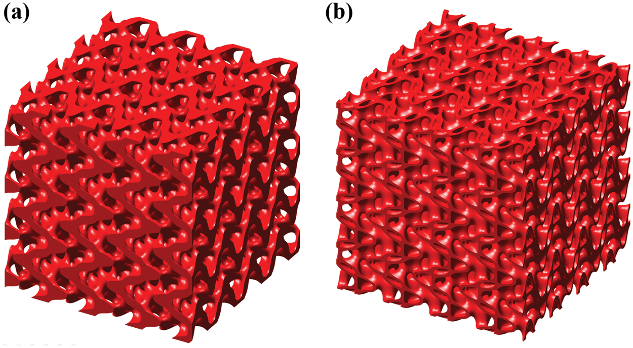 Design and Mechanical Characterization of an S-Based TPMS Hollow ...