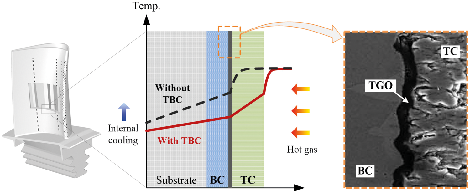 Review of Numerical Simulation of TGO Growth in Thermal Barrier Coatings