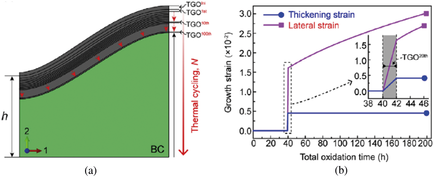 Review of Numerical Simulation of TGO Growth in Thermal Barrier Coatings