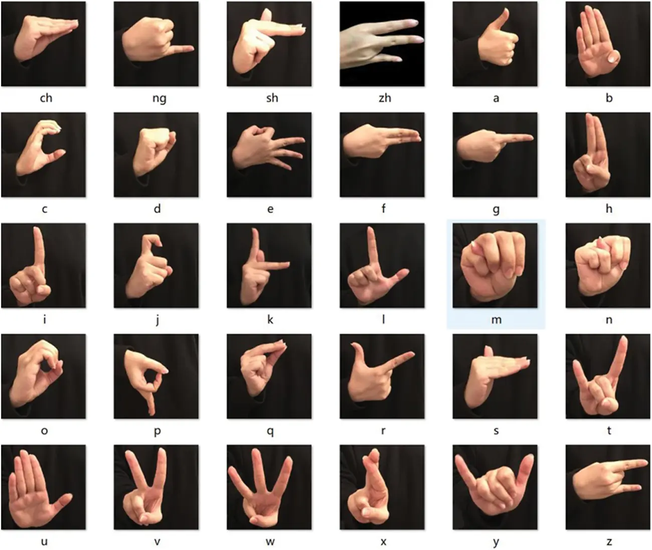 An Optimized Convolutional Neural Network with Combination Blocks for ...