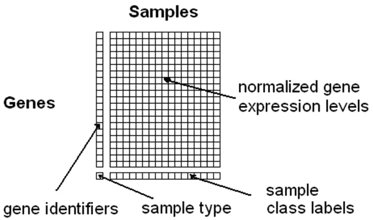 Clustering Gene Expression Data Through Modified Agglomerative M-CURE ...