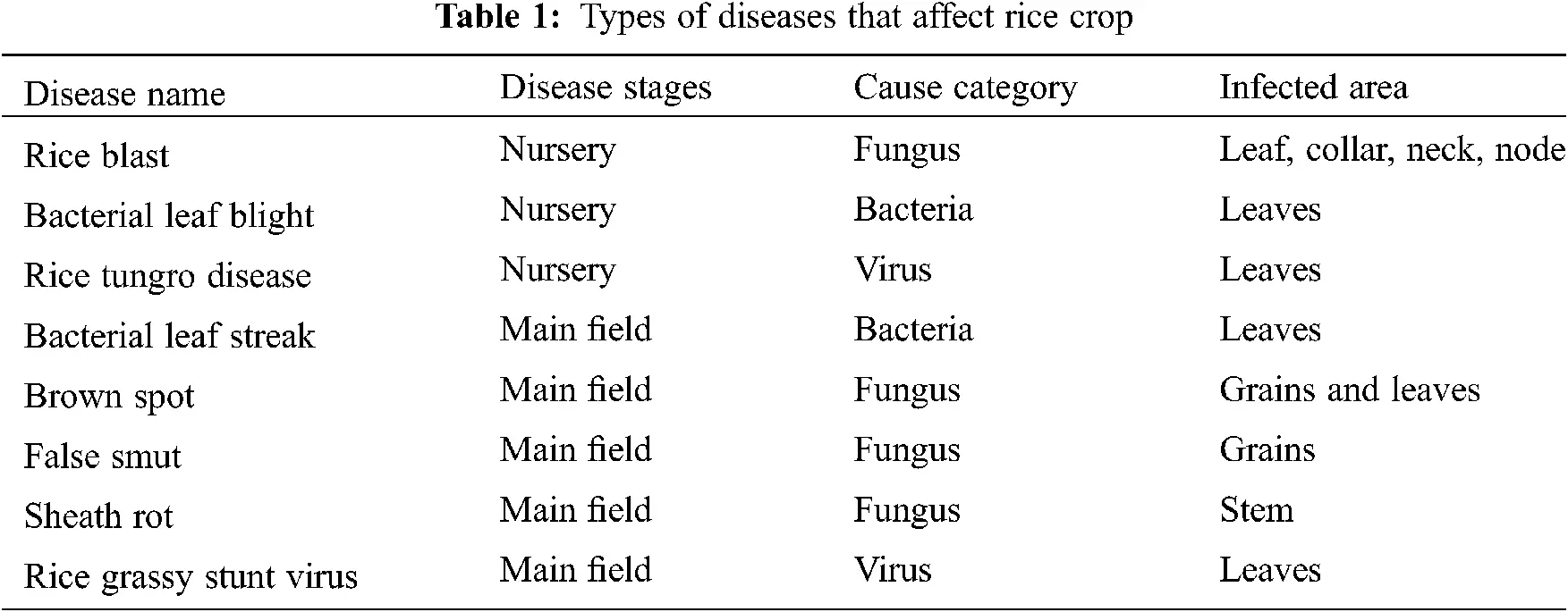 RDA- CNN: Enhanced Super Resolution Method for Rice Plant Disease ...