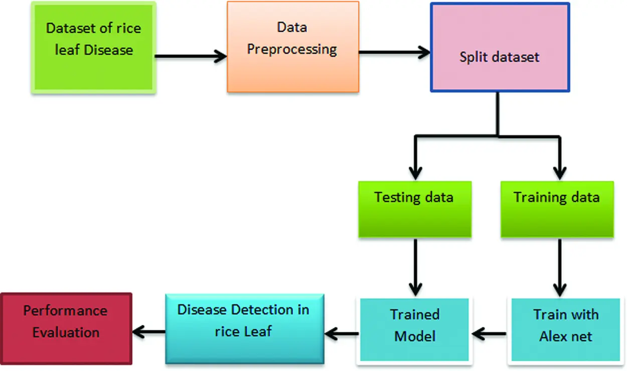 Rice Leaves Disease Diagnose Empowered with Transfer Learning