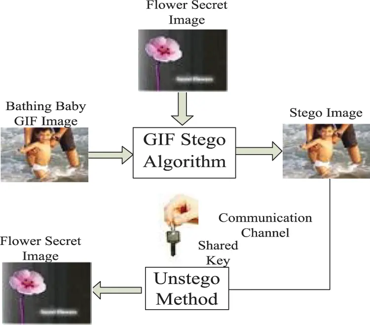 An Animated GIF Steganography Using Variable Block Partition Scheme
