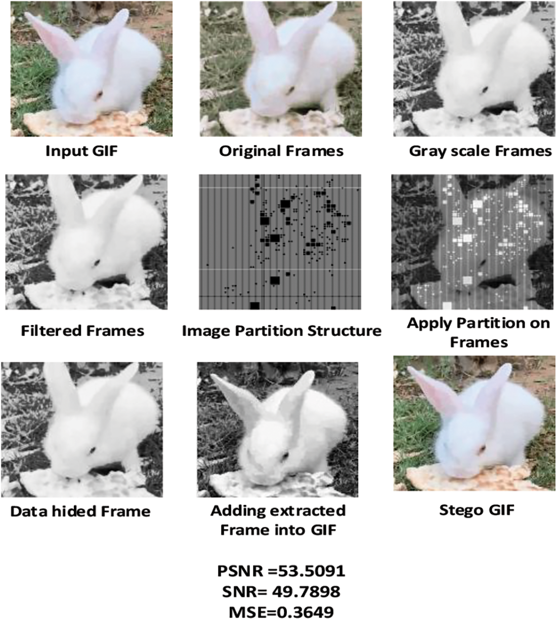 An Animated GIF Steganography Using Variable Block Partition Scheme