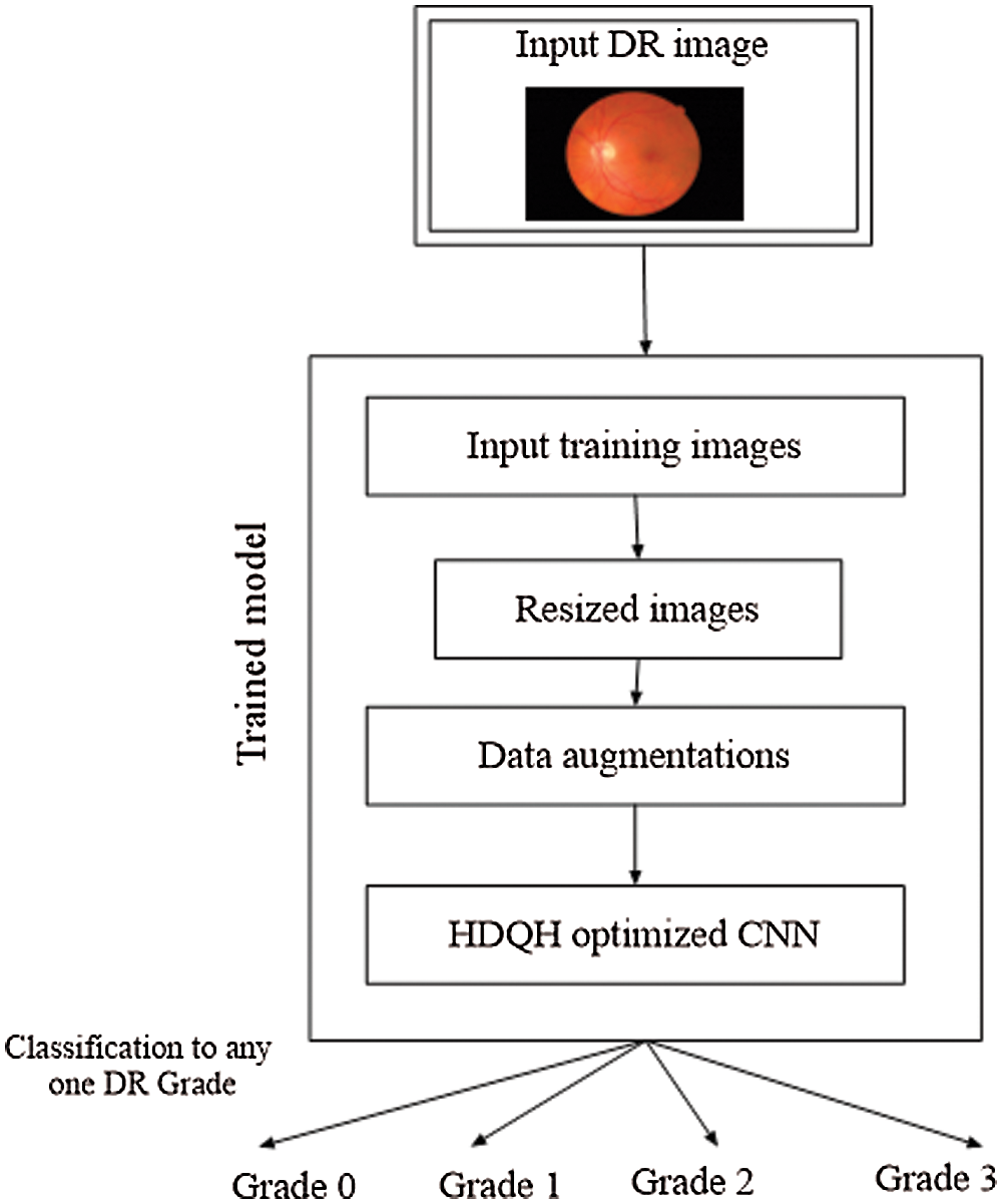A Novel Optimizer in Deep Neural Network for Diabetic Retinopathy ...