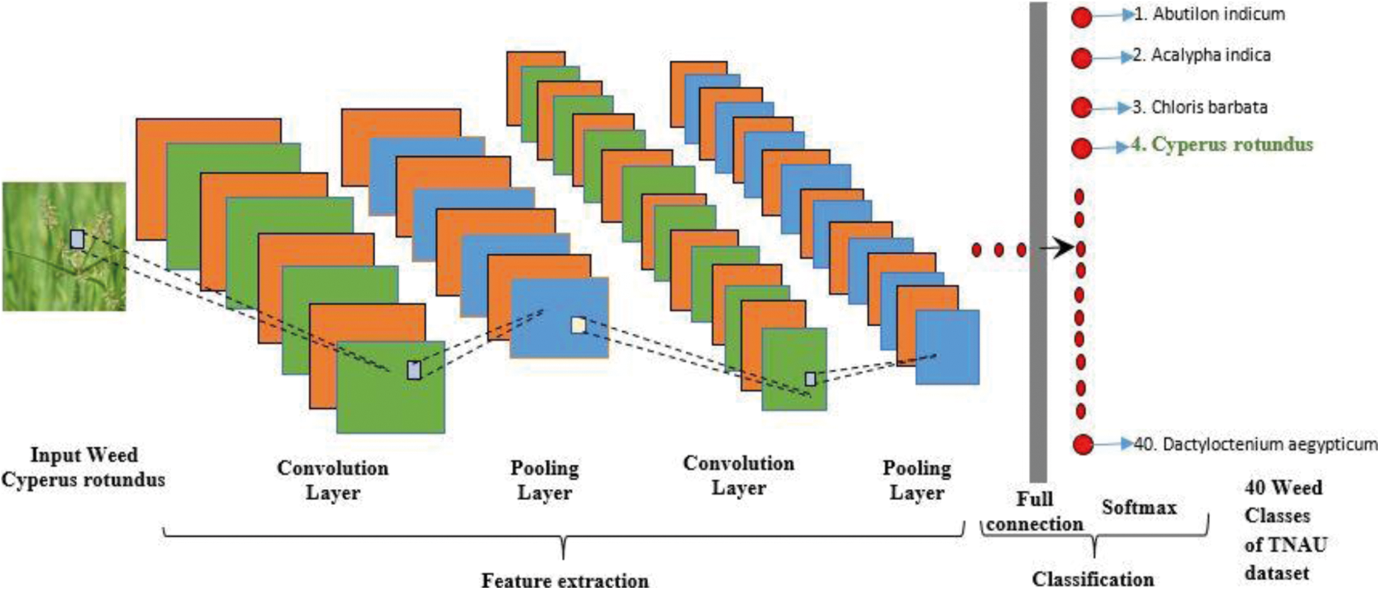 Weed Classification Using Particle Swarm Optimization and Deep Learning Models