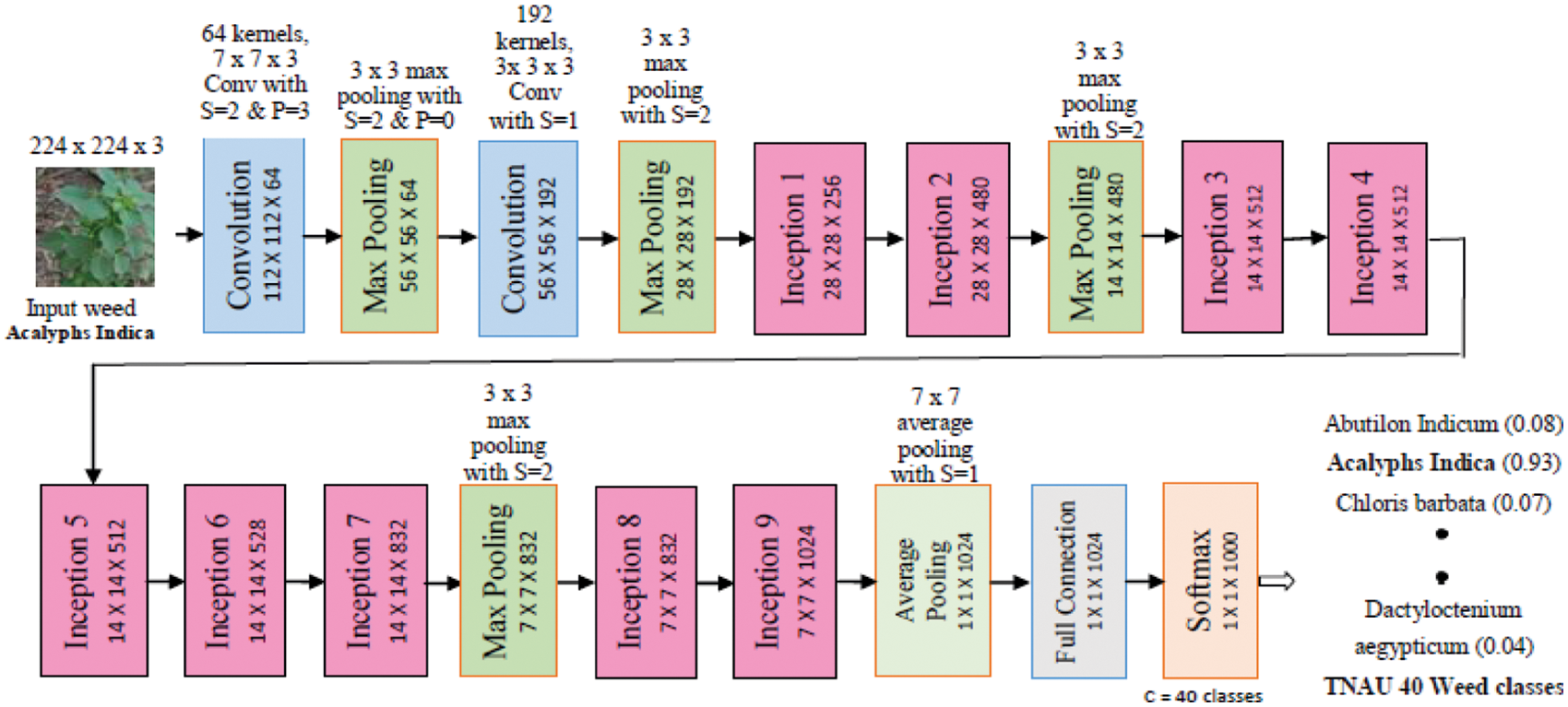 Weed Classification Using Particle Swarm Optimization and Deep Learning Models