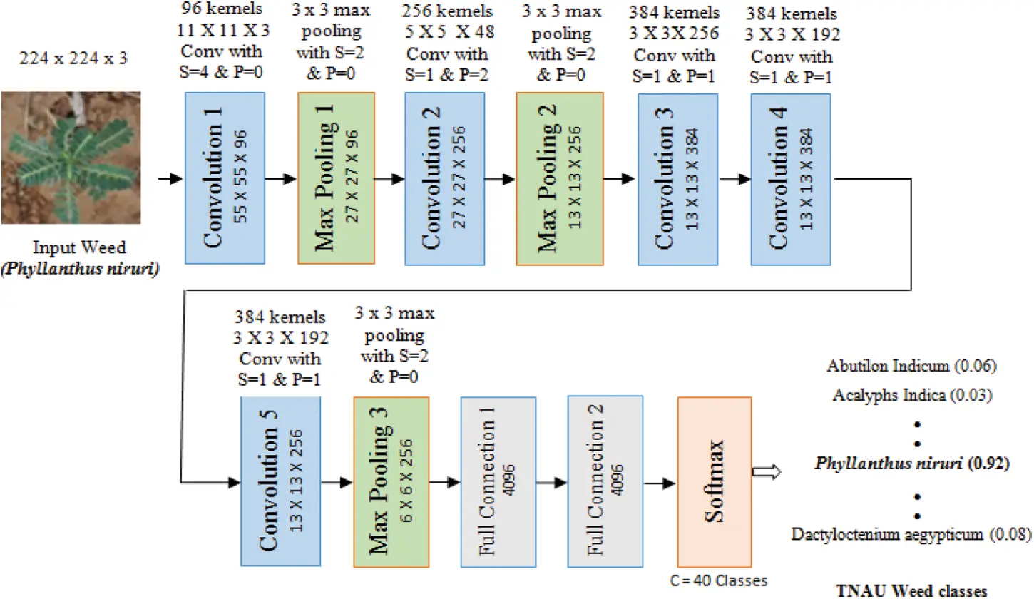 Weed Classification Using Particle Swarm Optimization and Deep Learning Models