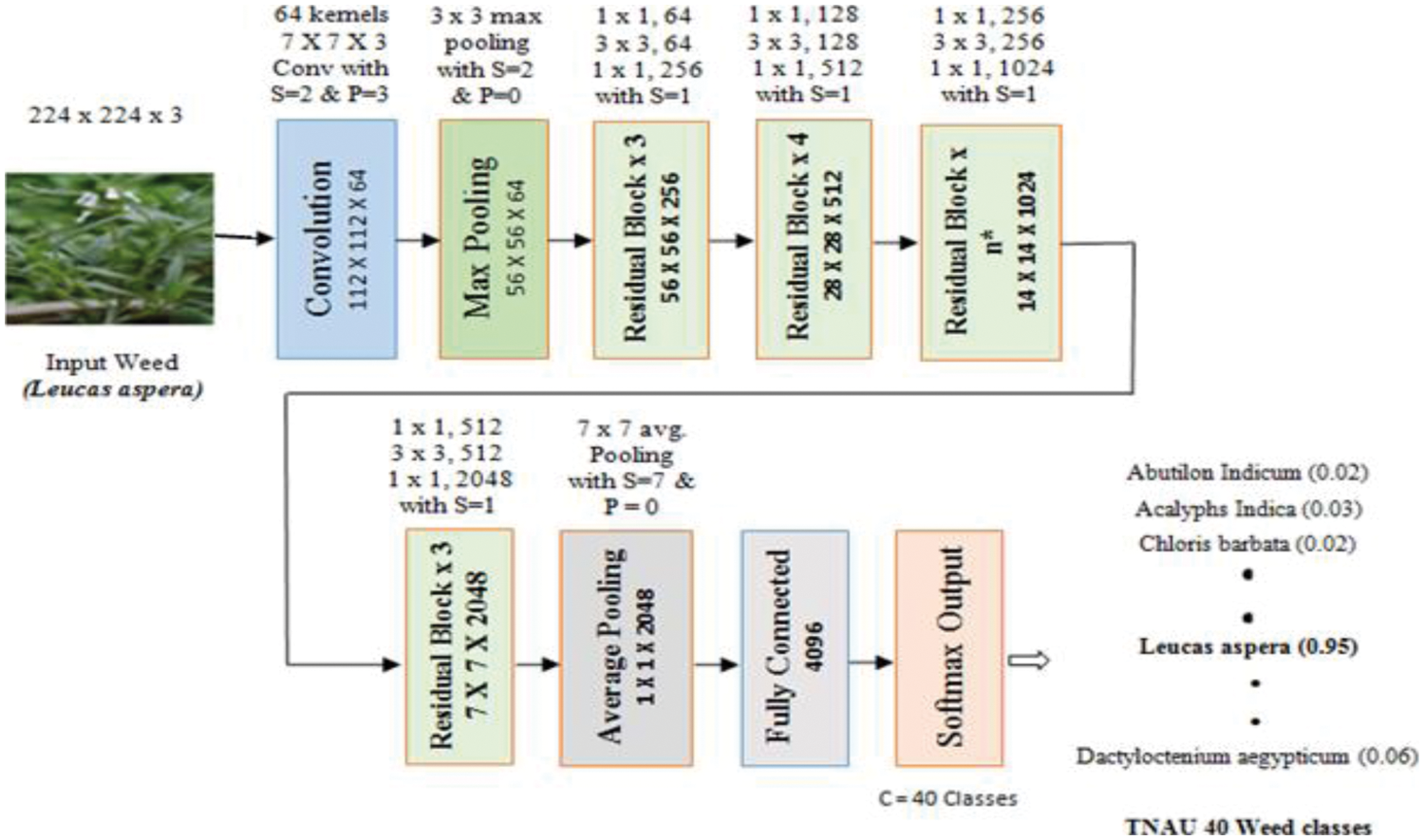 Weed Classification Using Particle Swarm Optimization and Deep Learning Models