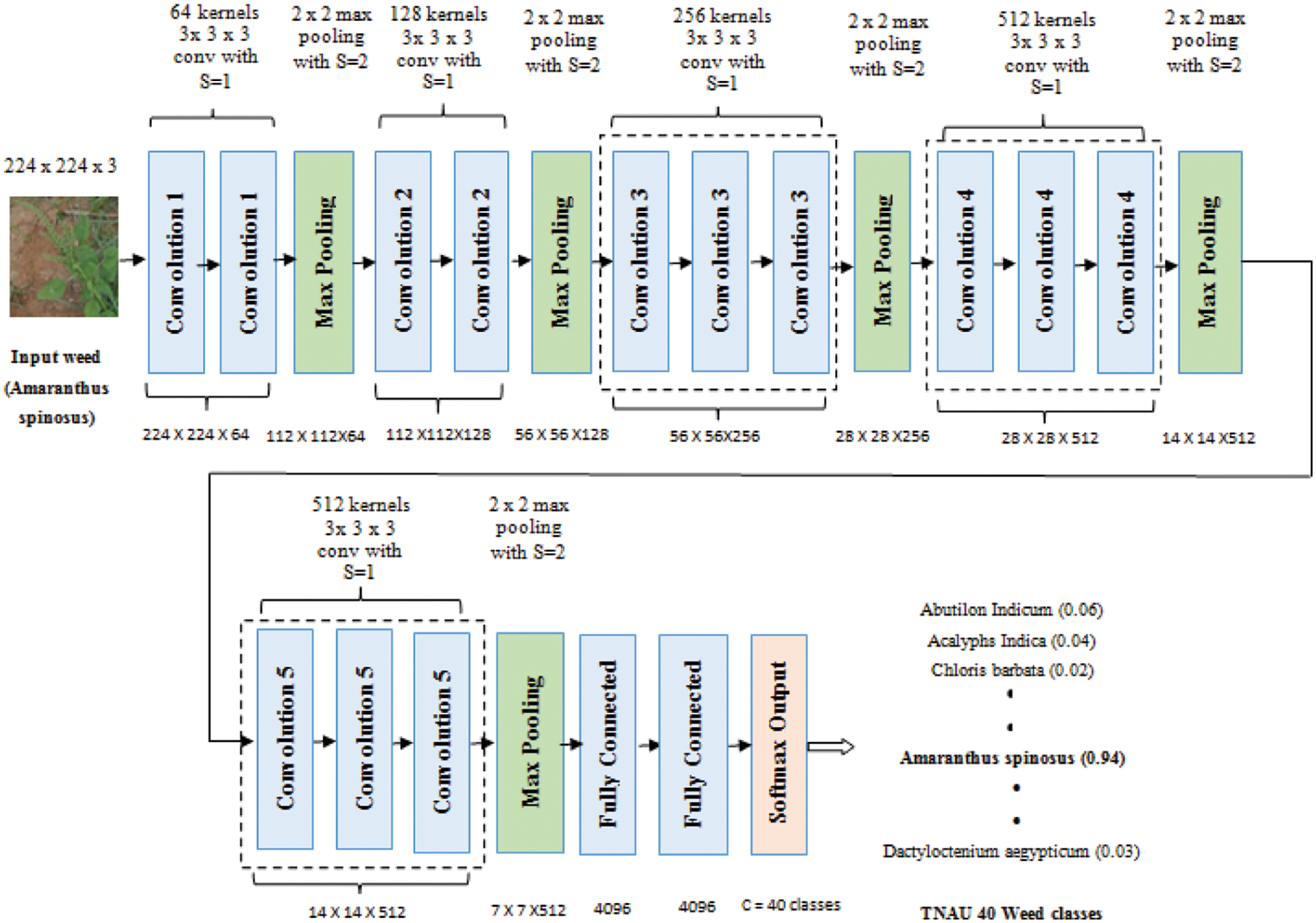 Weed Classification Using Particle Swarm Optimization and Deep Learning Models