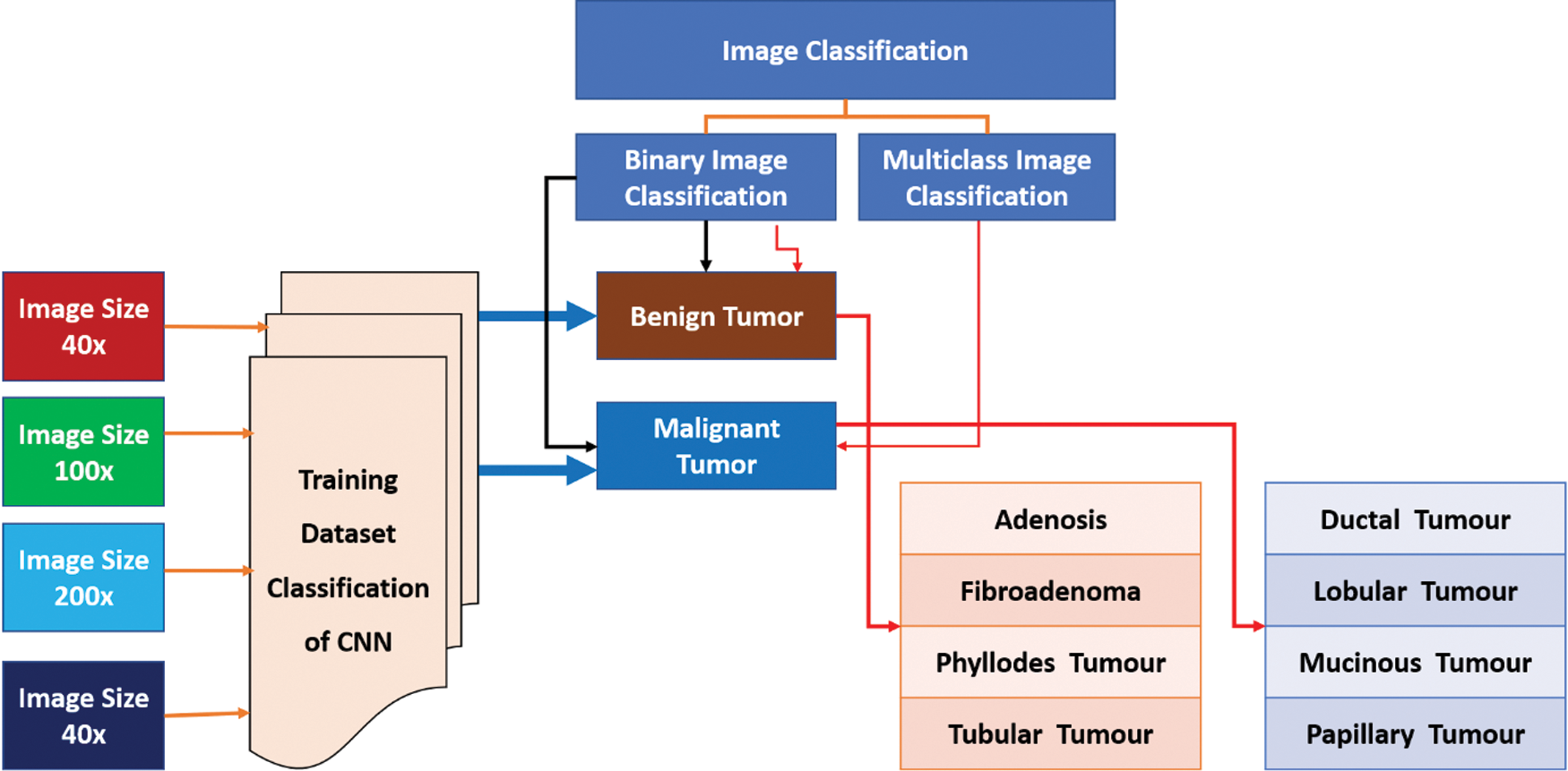 Breast Calcifications and Histopathological Analysis on Tumour ...