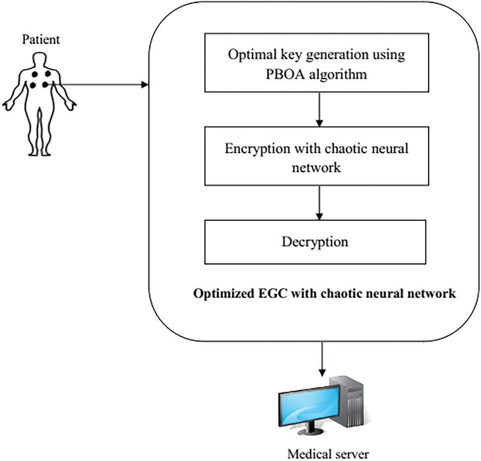 Secured ECG Signal Transmission Using Optimized EGC with Chaotic Neural ...