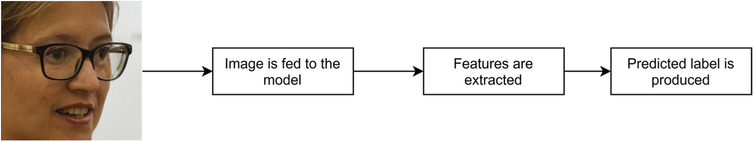 Artificially Generated Facial Images for Gender Classification Using ...