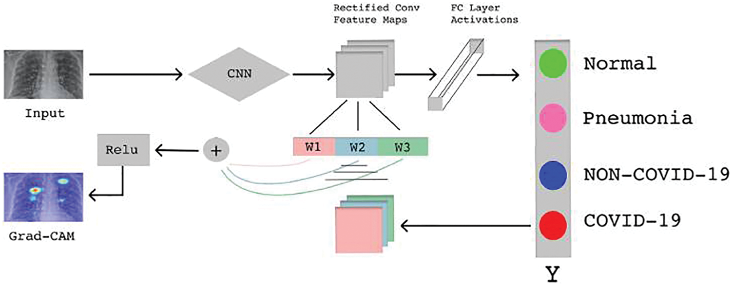 Efficient Grad-Cam-Based Model for COVID-19 Classification and Detection