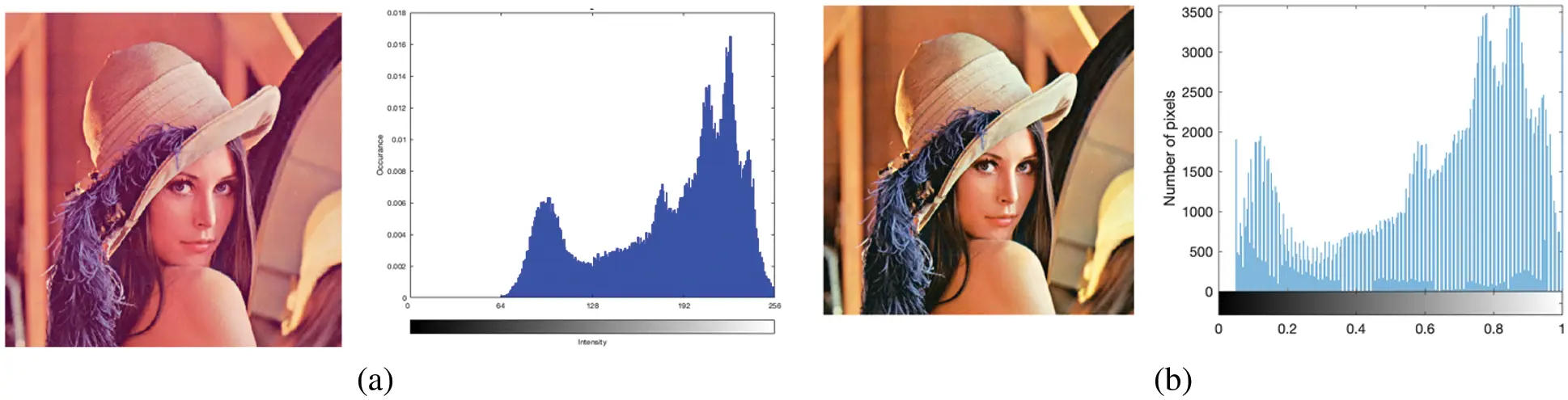 Gamma Correction for Brightness Preservation in Natural Images
