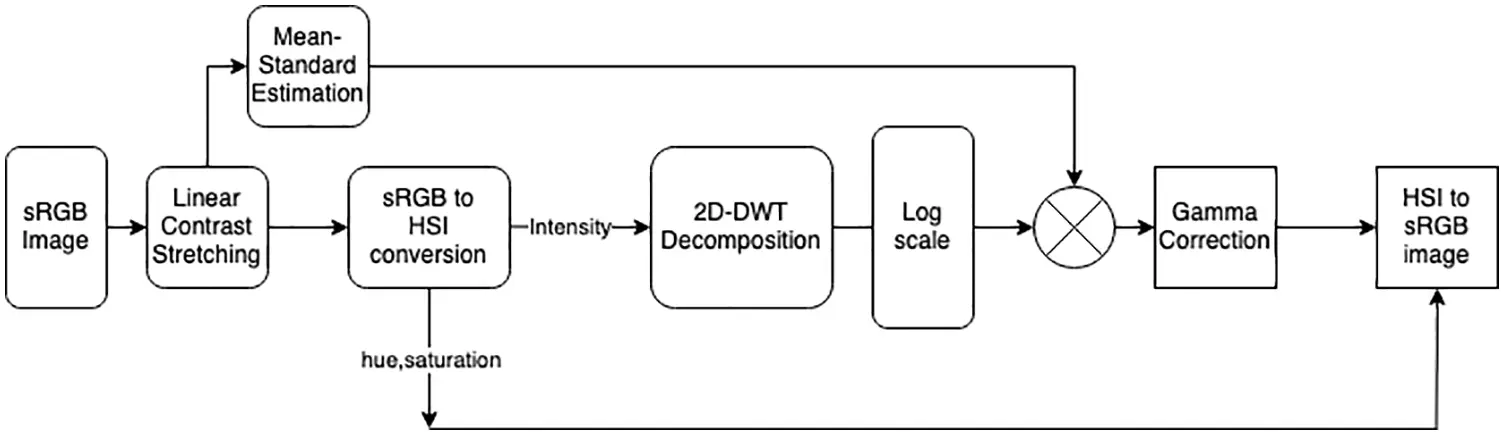 Gamma Correction for Brightness Preservation in Natural Images