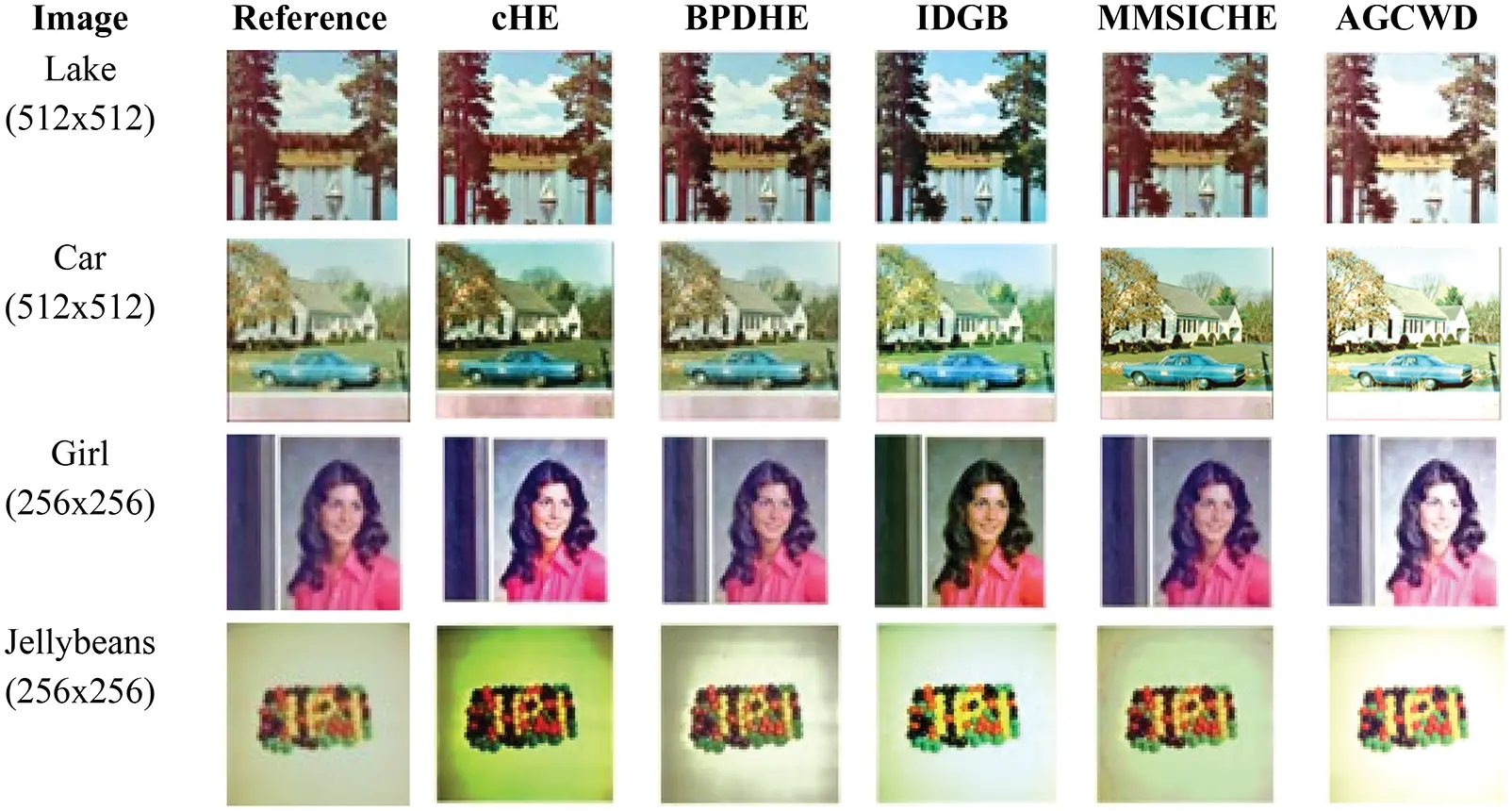 Gamma Correction for Brightness Preservation in Natural Images