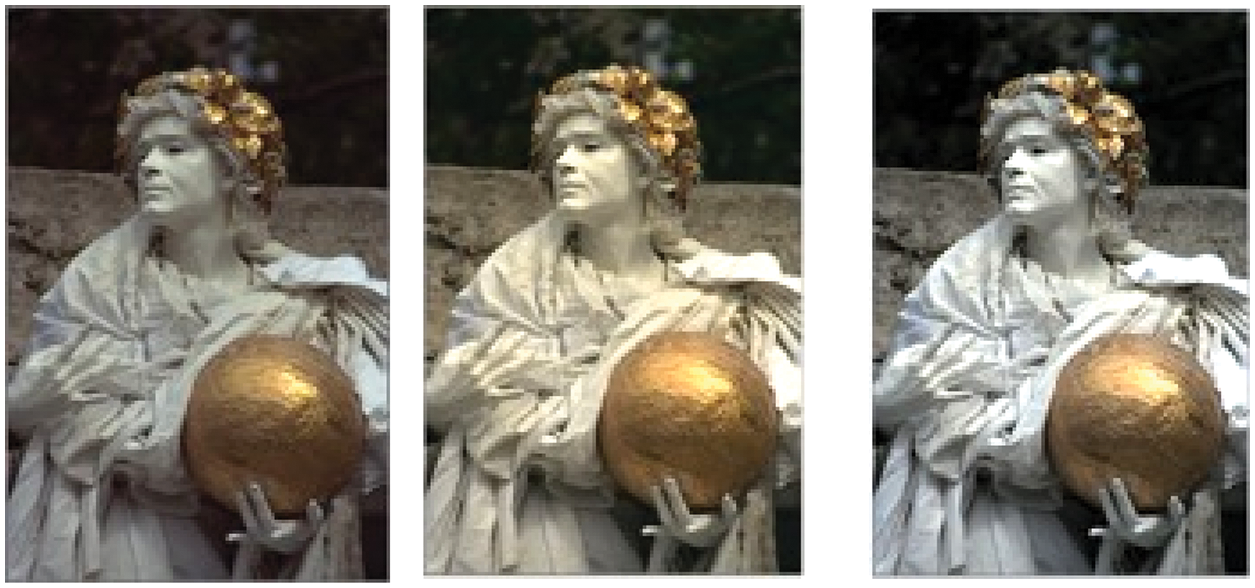 Gamma Correction for Brightness Preservation in Natural Images