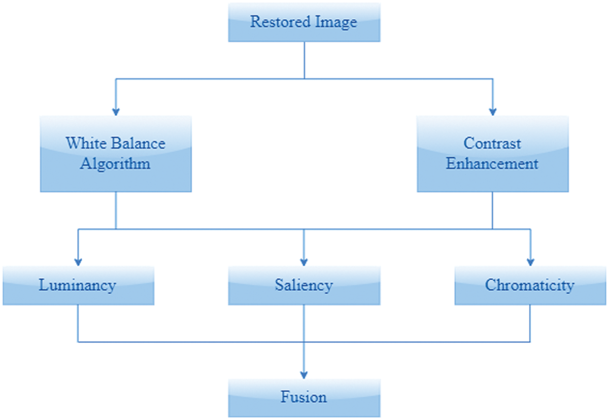 Visual Enhancement of Underwater Images Using Transmission Estimation ...
