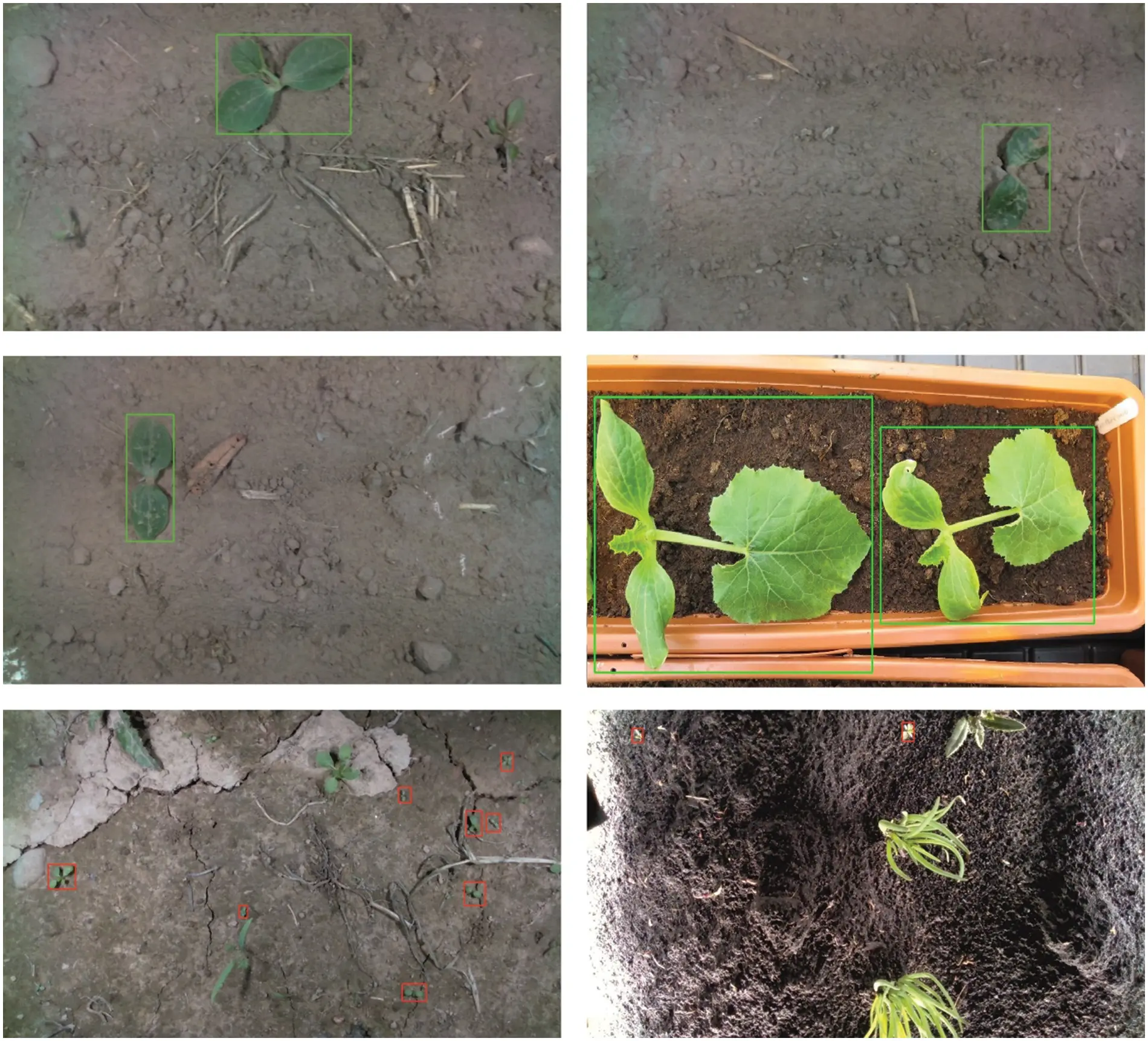 Computer Vision and Deep Learning-enabled Weed Detection Model for ...