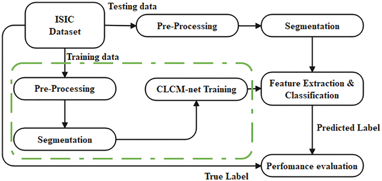 Regularised Layerwise Weight Norm Based Skin Lesion Features Extraction ...