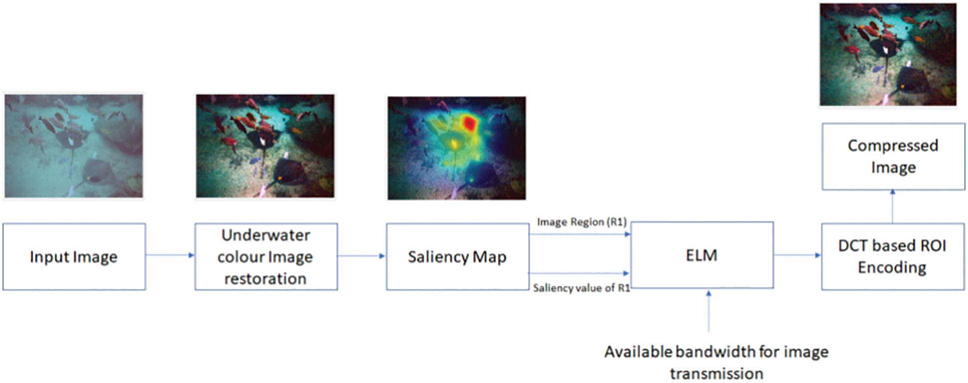 CSSE | Free Full-Text | ELM-Based Shape Adaptive DCT Compression Technique for Underwater Image ...