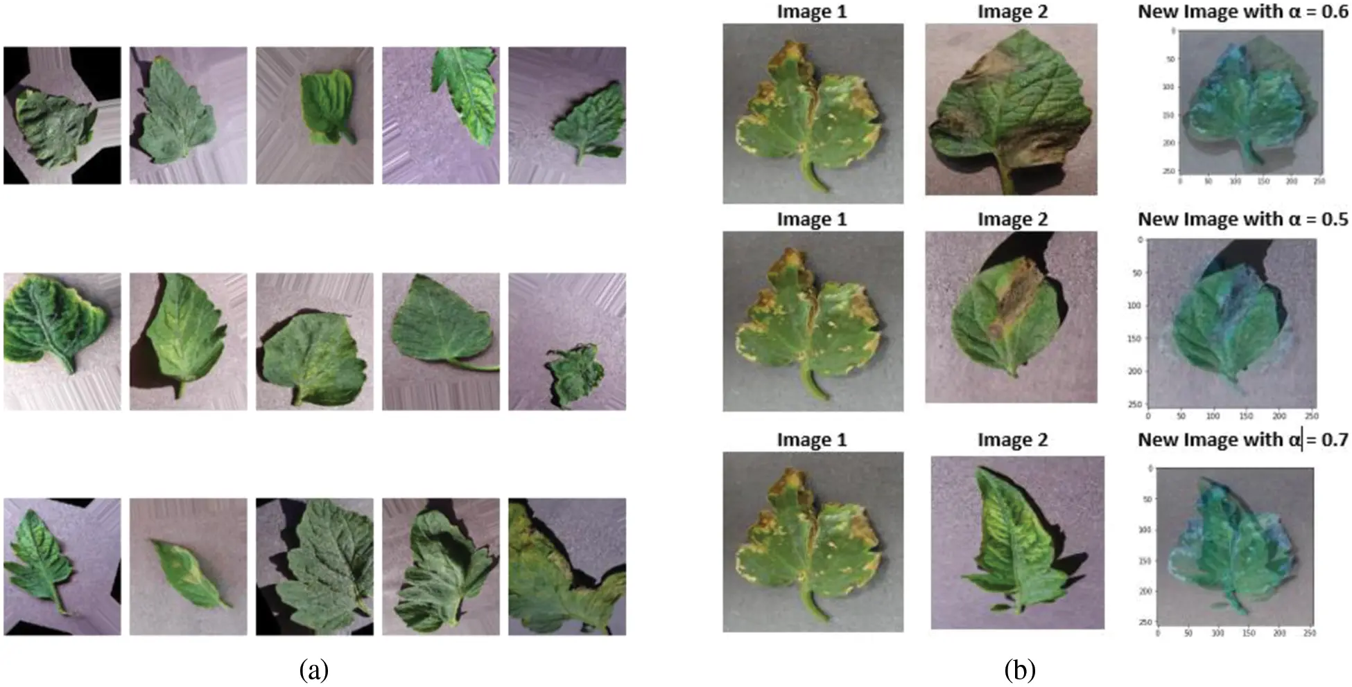 CSSE | Free Full-Text | EfficientNetV2 Model for Plant Disease Classification and Pest Recognition