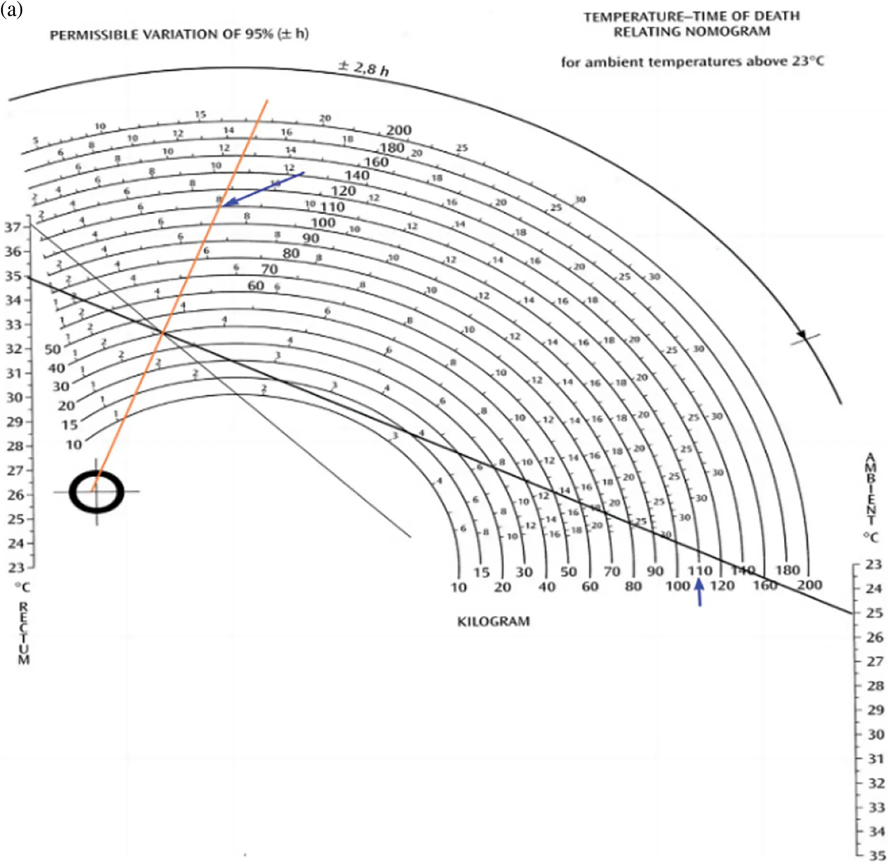 FDMP | Free Full-Text | Determination of the Postmortem Interval Using ...