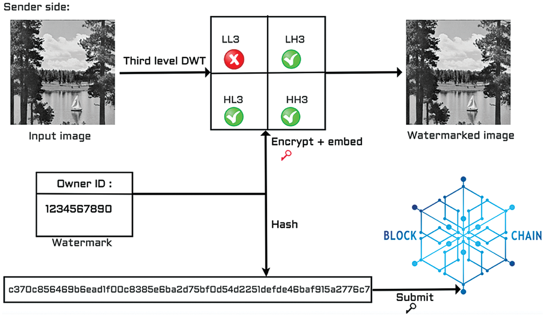 Secure Image Authentication Using Watermarking and Blockchain