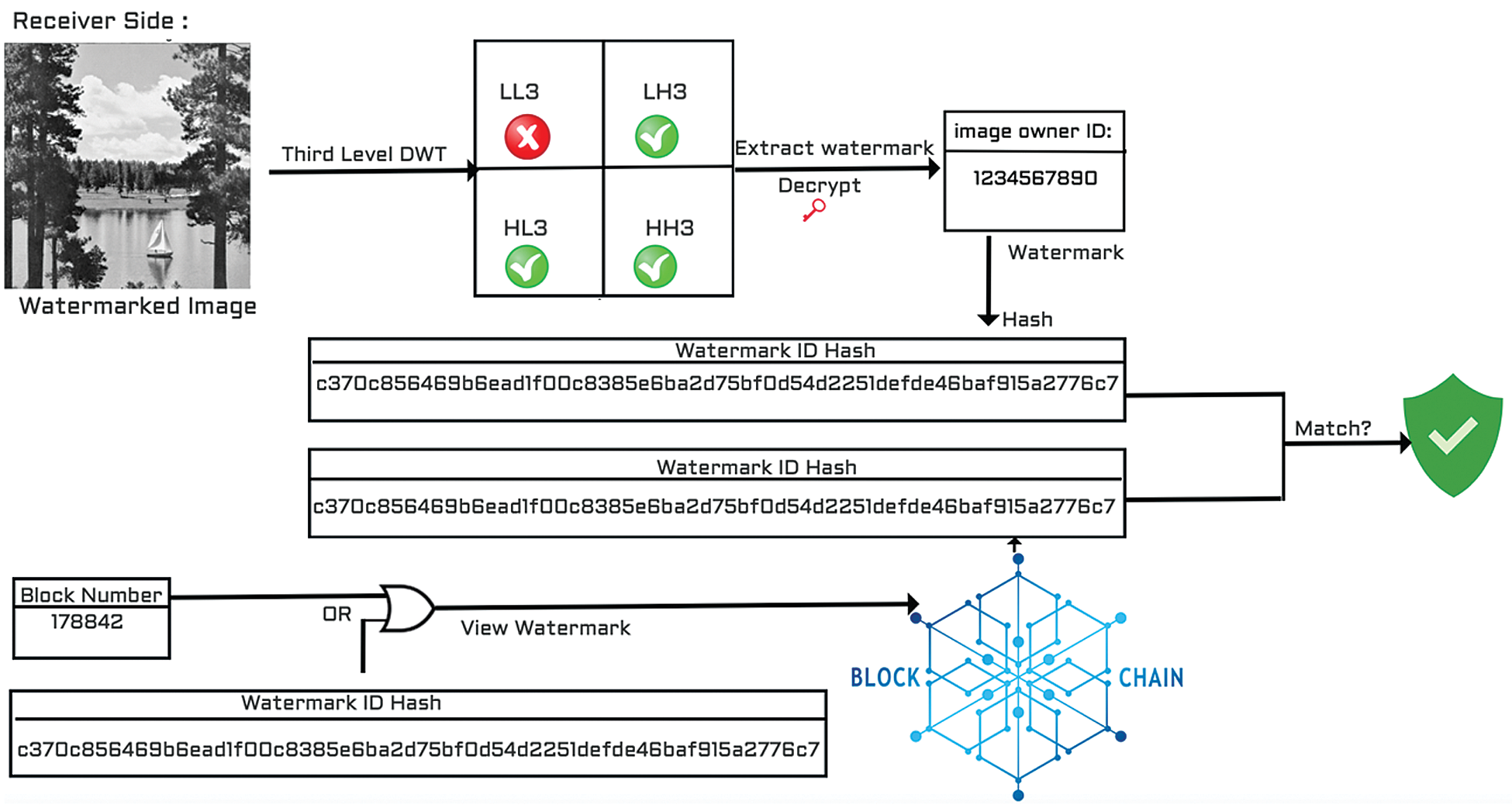 Secure Image Authentication Using Watermarking and Blockchain