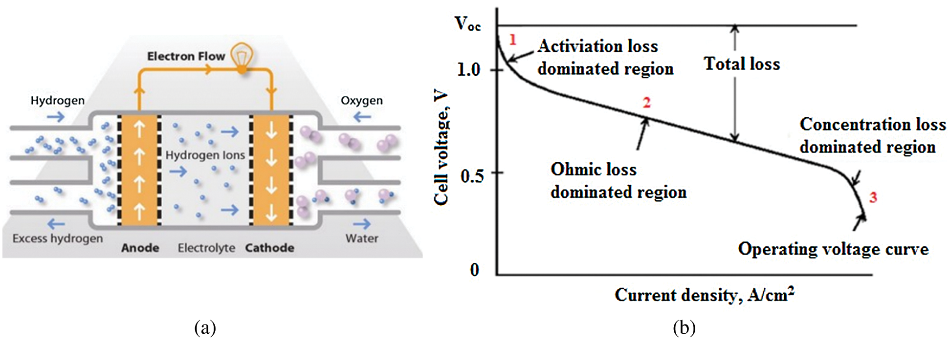 Optimal Parameter Estimation of Proton Exchange Membrane Fuel Cells
