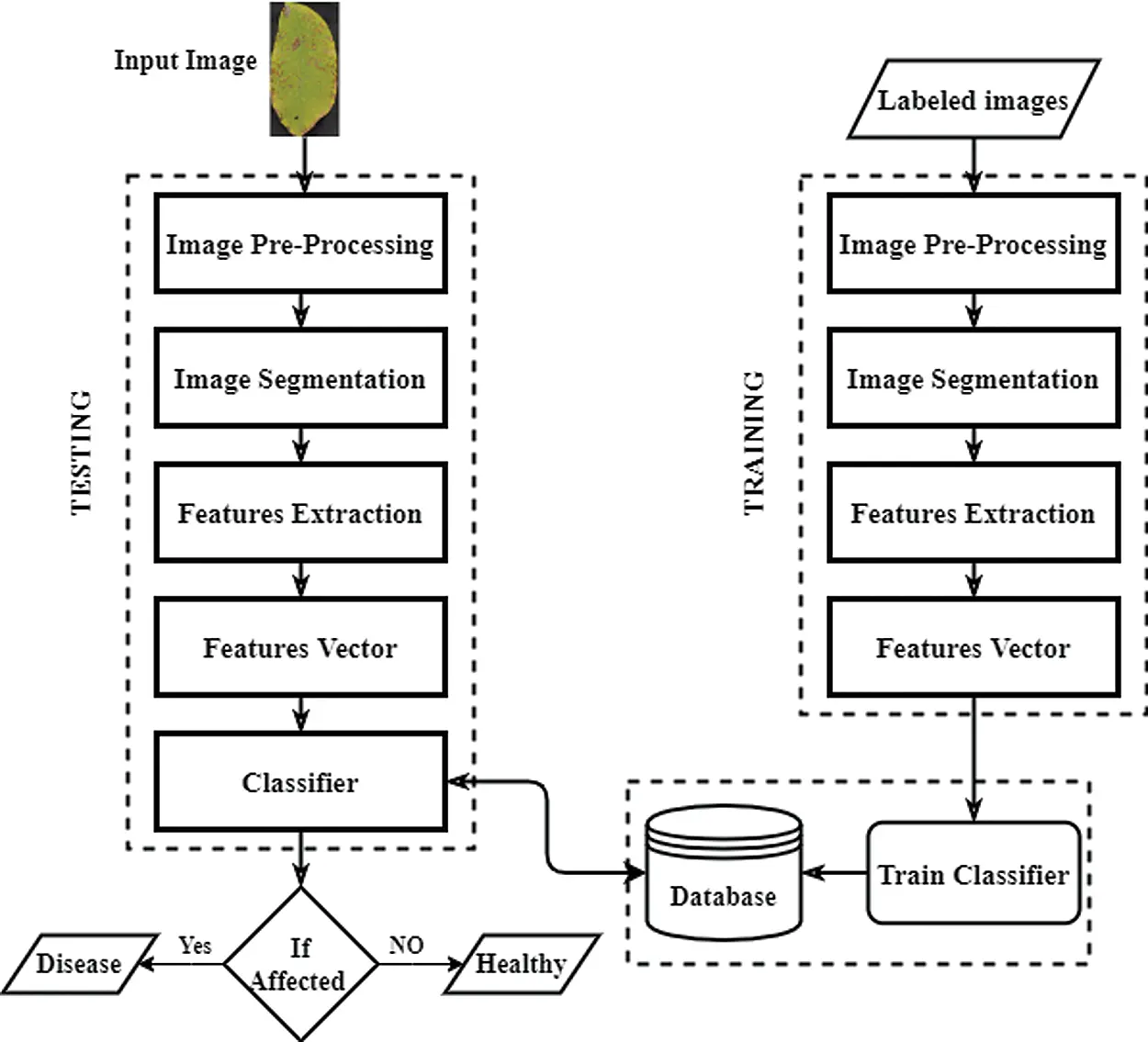 Machine Learning-based Detection and Classification of Walnut Fungi ...